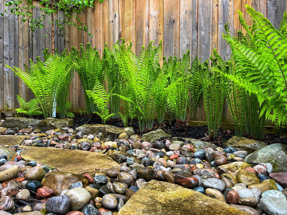 Cultivating a less materialistic lifestyle. - Steve Roper